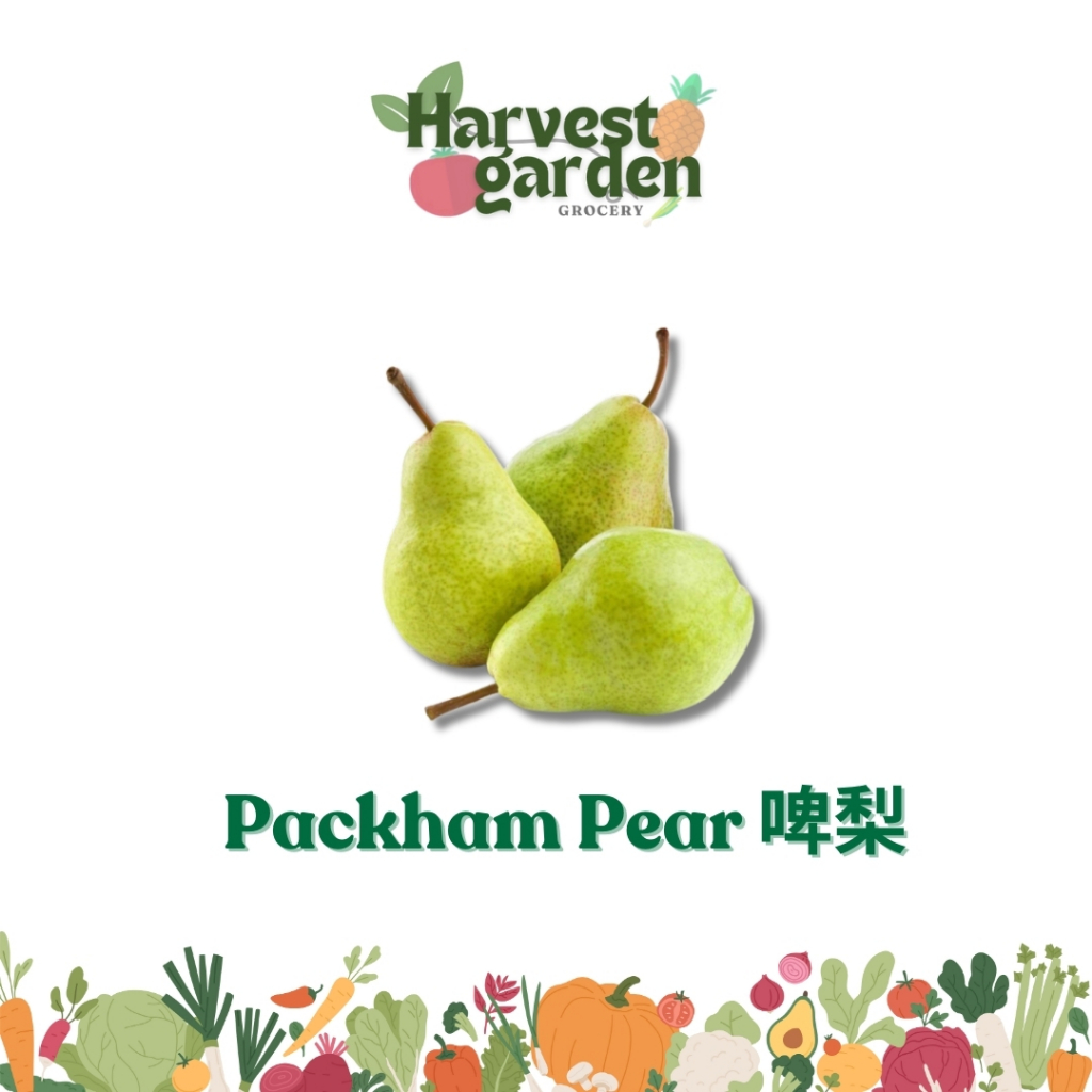 Fresh Packham Pear 啤梨 (XL) 3PCS / 5PCS | Shopee Malaysia