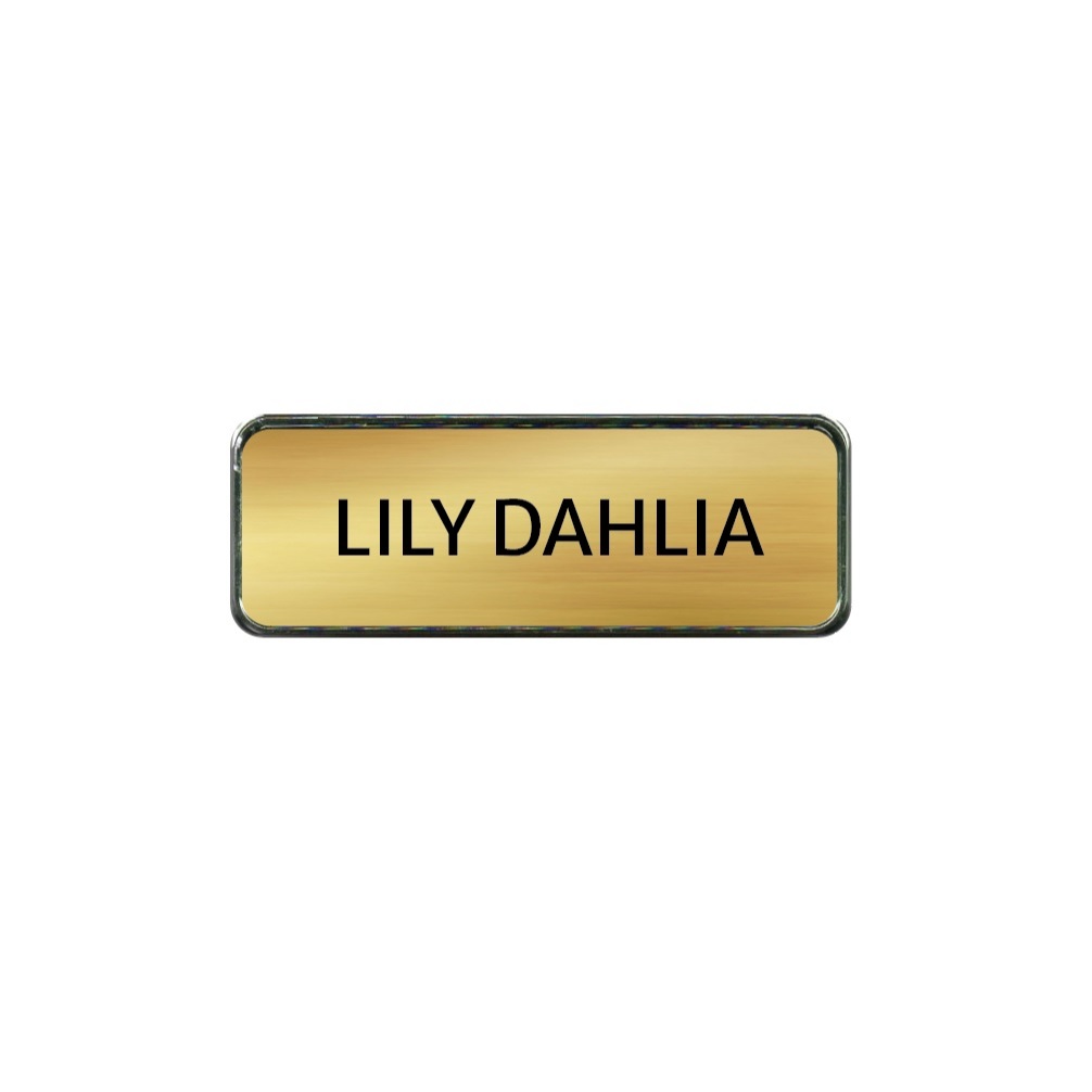 METAL NAME FRAME RV-GOLD#75X25 | METAL NAME TAG WITH LOCKABLE PIN ...