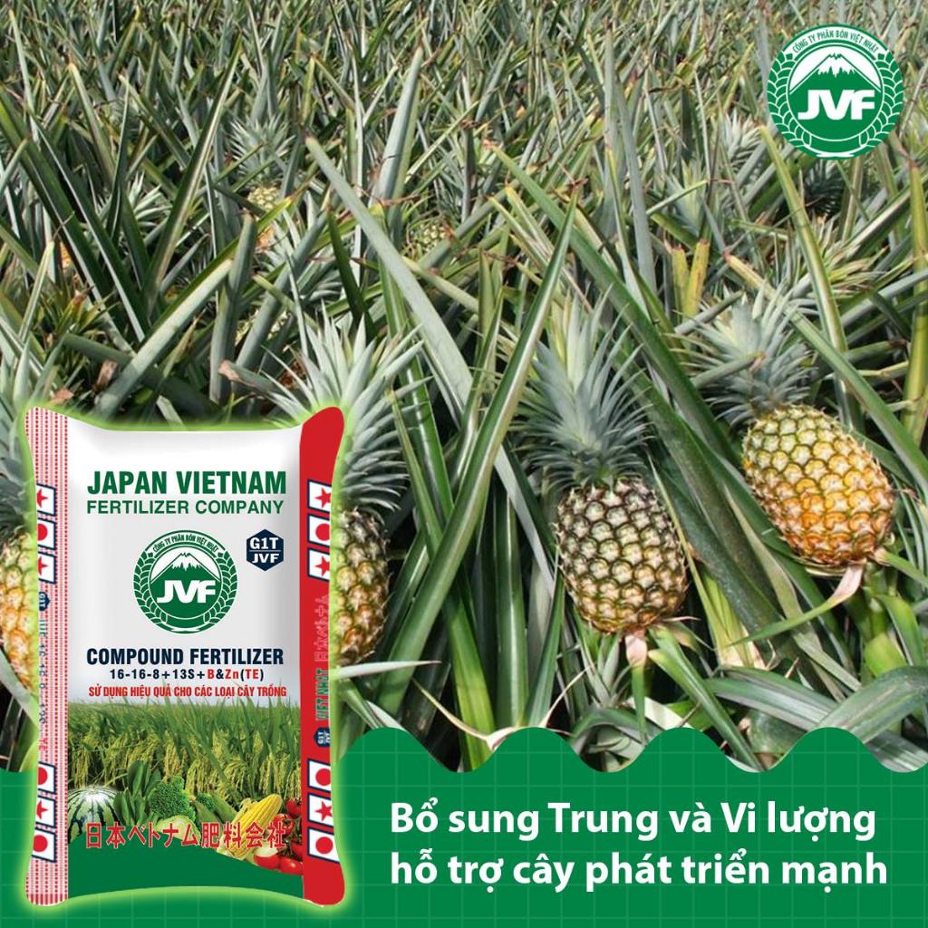 JVF 16-16-8+13S+TE 25KG JAPAN VIETNAM FERTILIZER | Shopee Malaysia