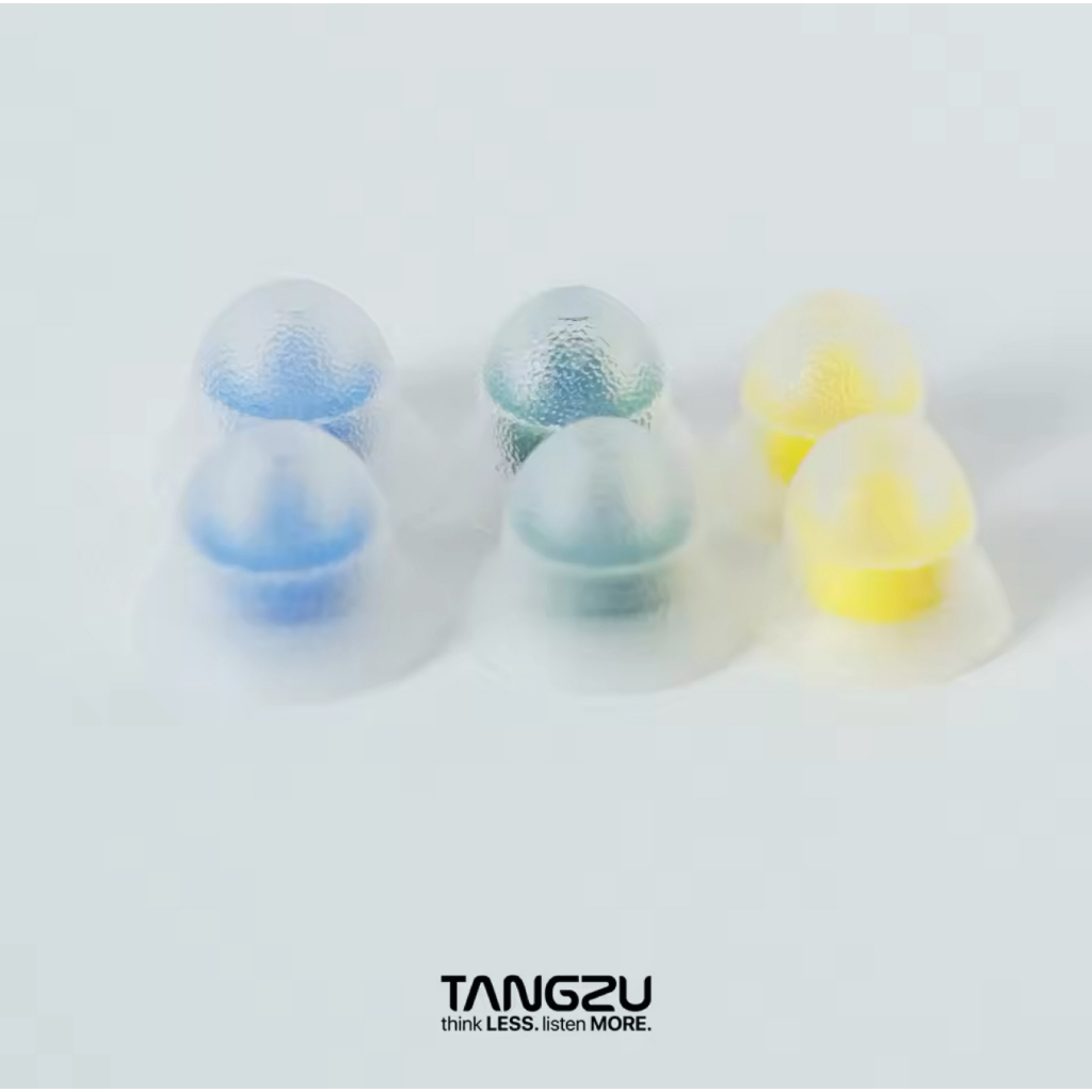 TANGZU Tang Sancai Narrow Bore Version Silicone Eartips for In Ear ...