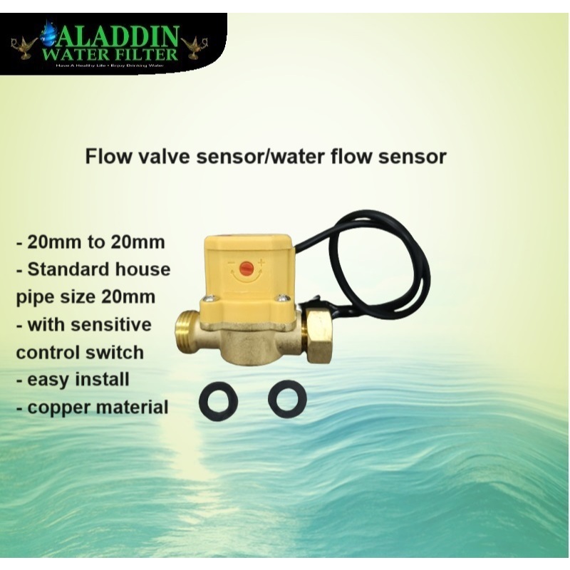 Water Flow Valve Water Flow Sensor Switch Pt Thread Connector Shopee Malaysia