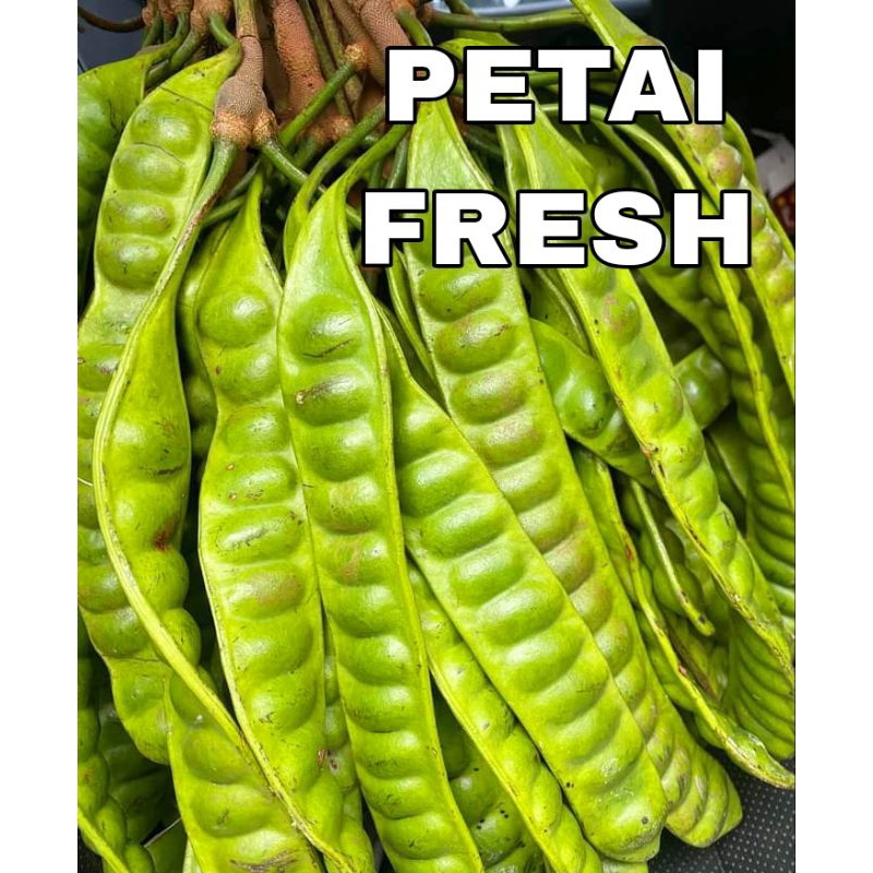 PETAI FRESH ULAS BESAR SEIKAT 6/ 7 PAPAN STOCK BARU SETIAP HARI ...