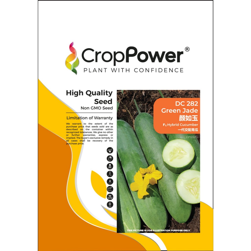 Benih Timun DC282 Green Jade F1 Hybrid Cucumber Crop Power - ( 20g ) 👍 ...