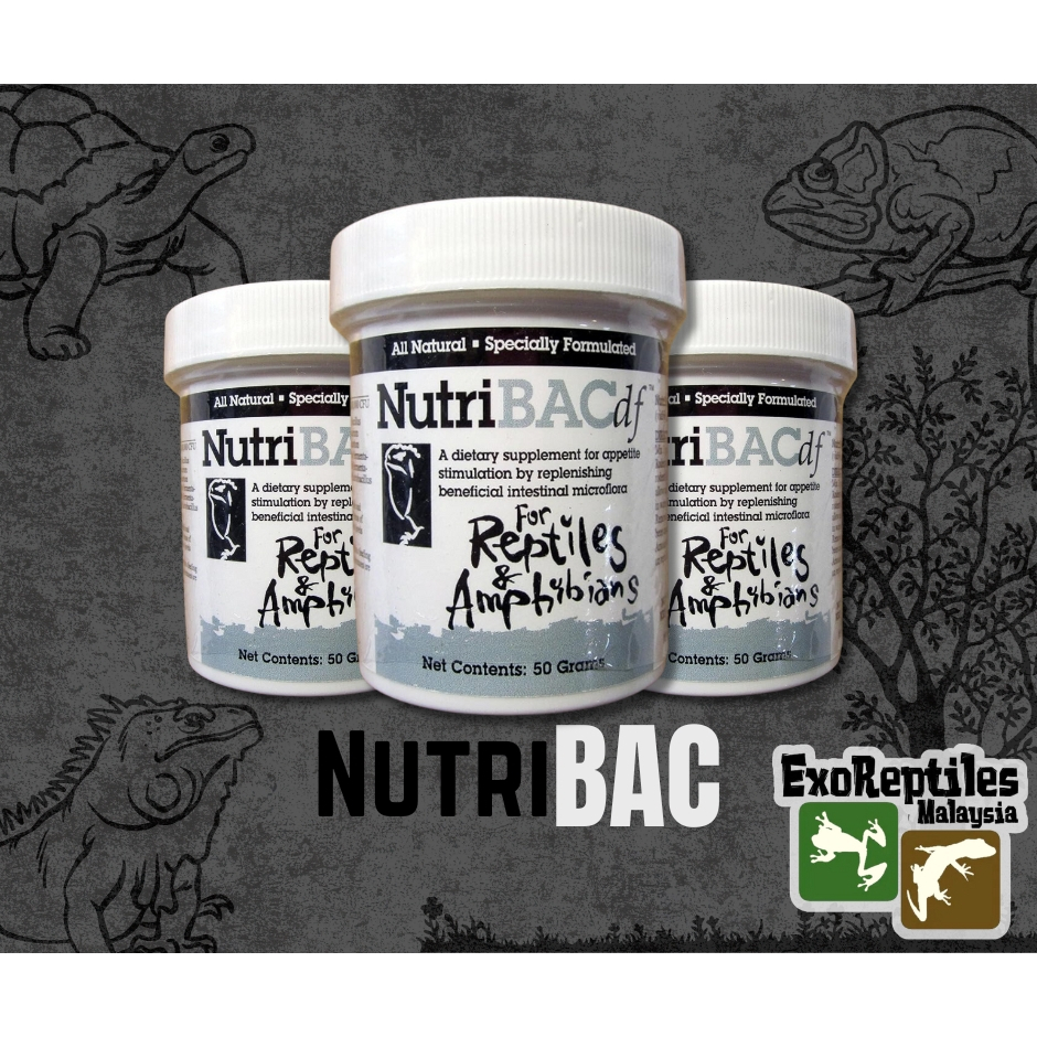 NUTRIBAC 50G - Dietary Supplement for Reptiles & Amphibians | Shopee ...
