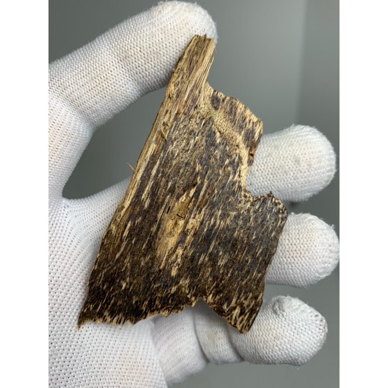 High Grade Agarwood Wood Chip （Piece） | Shopee Malaysia