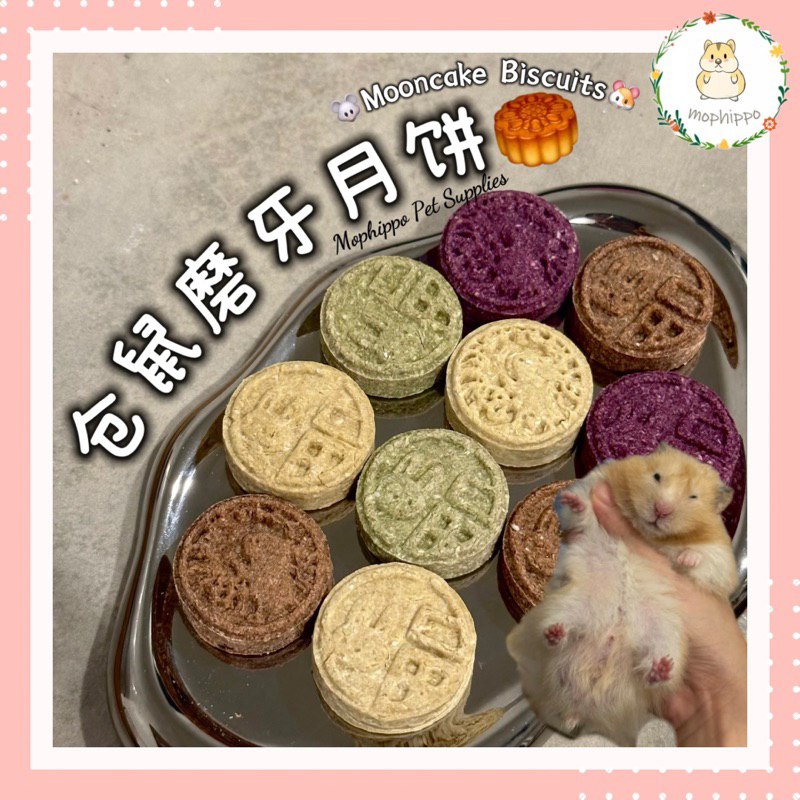 [Mophippo]🐹 Homemade Hamster Mooncake 🥮 Molar Biscuit 自制仓鼠磨牙月饼 小宠 花枝🐁 ...