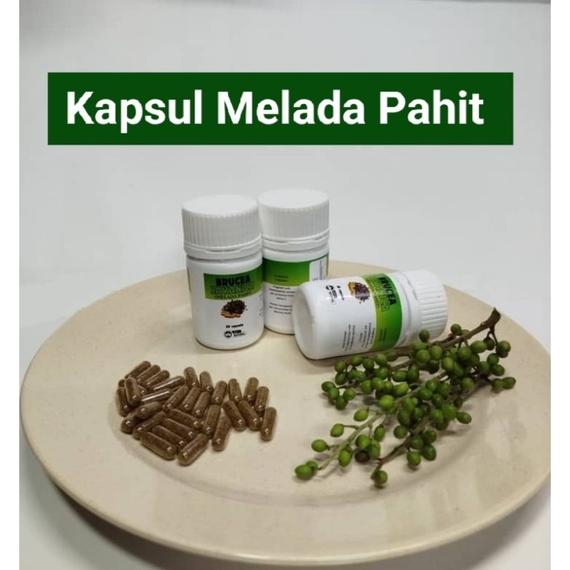 Melada Pahit (Kapsul) Organik 30/60/100 biji | Shopee Malaysia