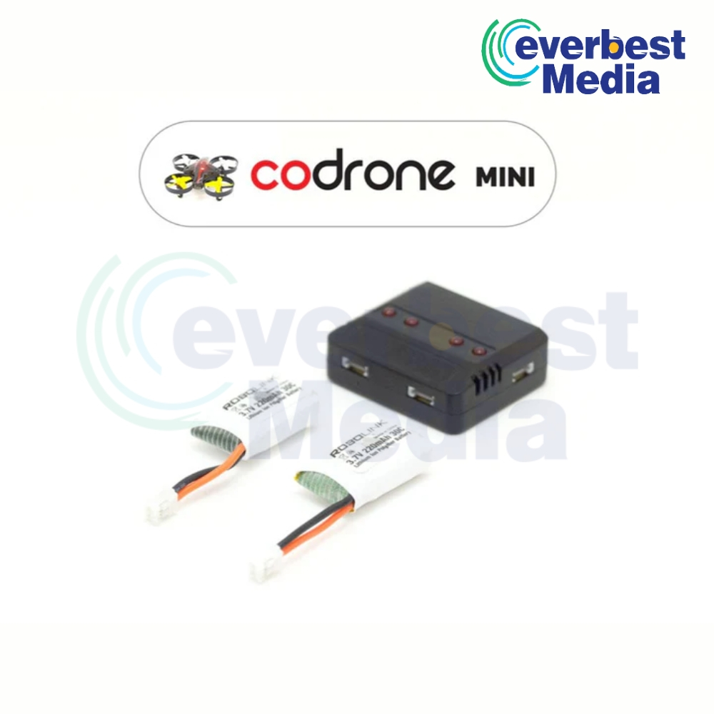 𝐂𝐨𝐃𝐫𝐨𝐧𝐞 𝐌𝐢𝐧𝐢 𝐏𝐨𝐰𝐞𝐫 𝐏𝐚𝐜𝐤 - Includes a 4-battery charger & 2 batteries ...