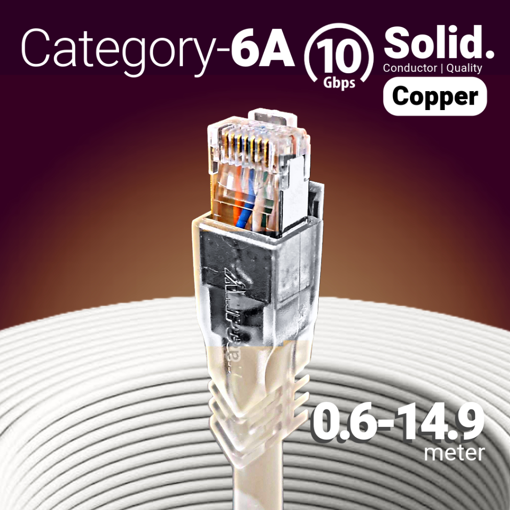 CAT6A Solid Copper 23AWG FTP Shielded Ethernet/ LAN/ Network Cable (0.6 ...