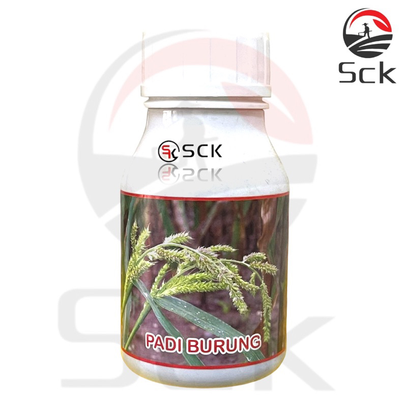 Racun sambau padi burung Dan sambau ekor tebu/Padi Burung 250ml ...