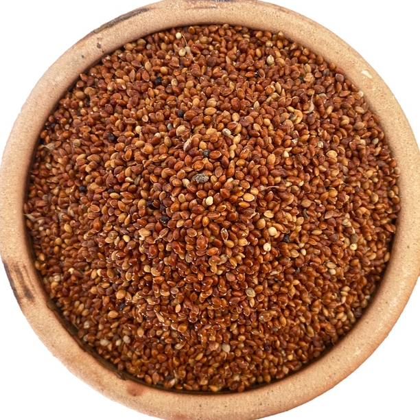 [REPACK][1KG] Sambau Merah / Kambu Merah (Red Millet) untuk Burung ...