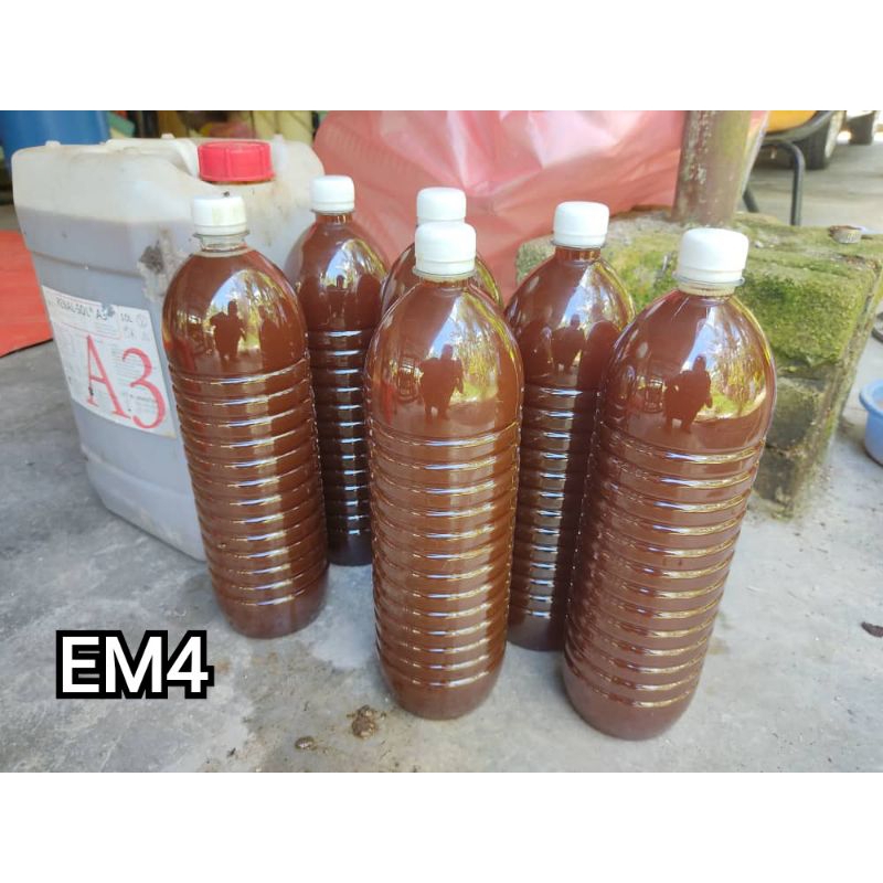 EM4 Effective Microorganisms khas untuk Penternakan, Pertanian Dan ...