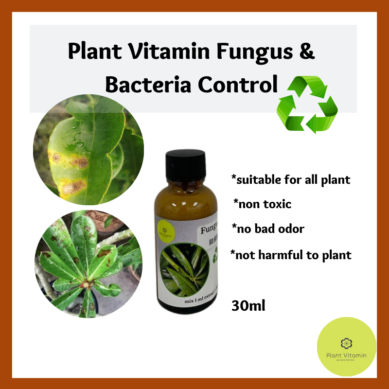 Fungus & Bacteria Control Organic Pesticide Plant Fungicide for Leaf ...