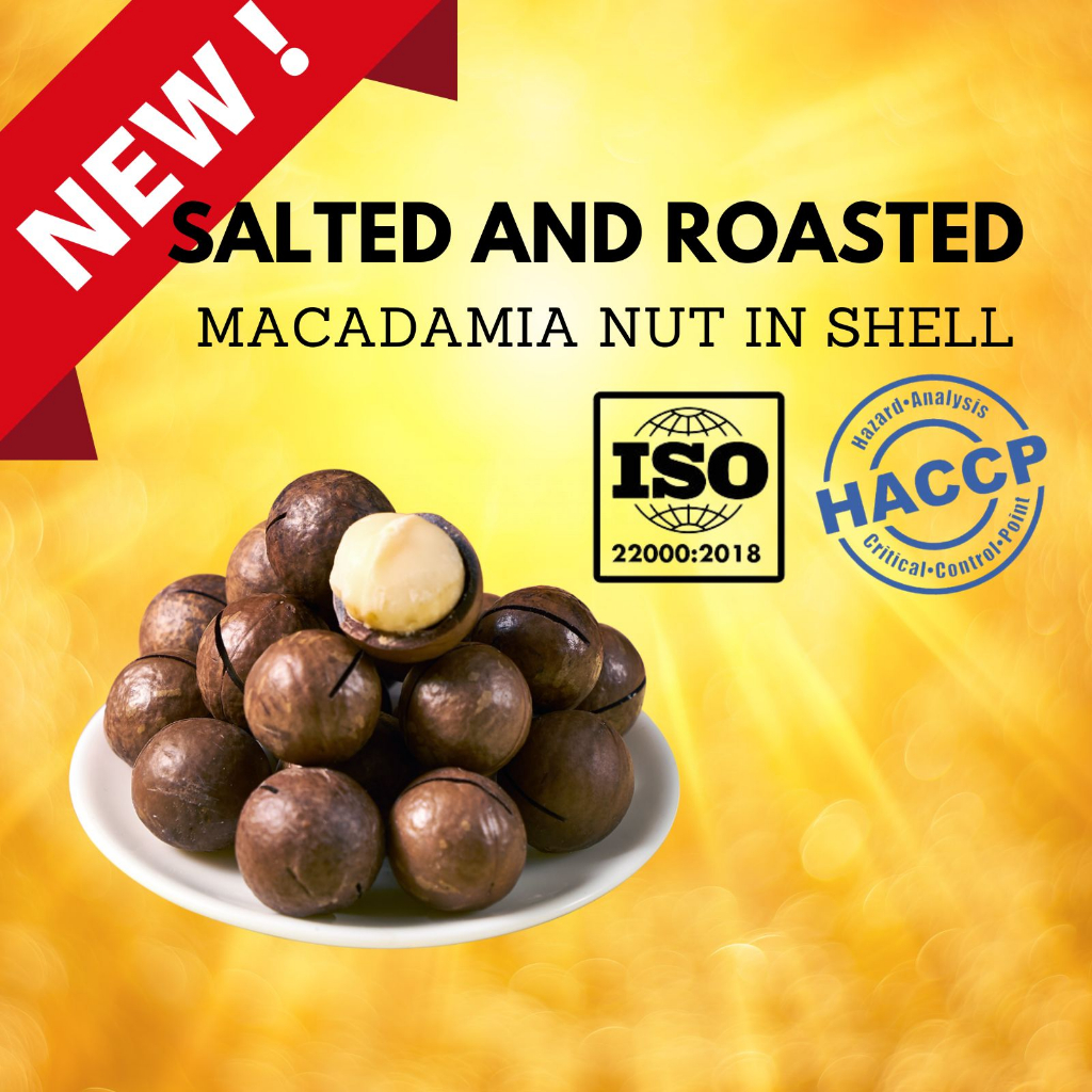 [Australian Macadamias] 500gram macadamia Nuts with shell 澳大利亚烤夏威夷果 ...