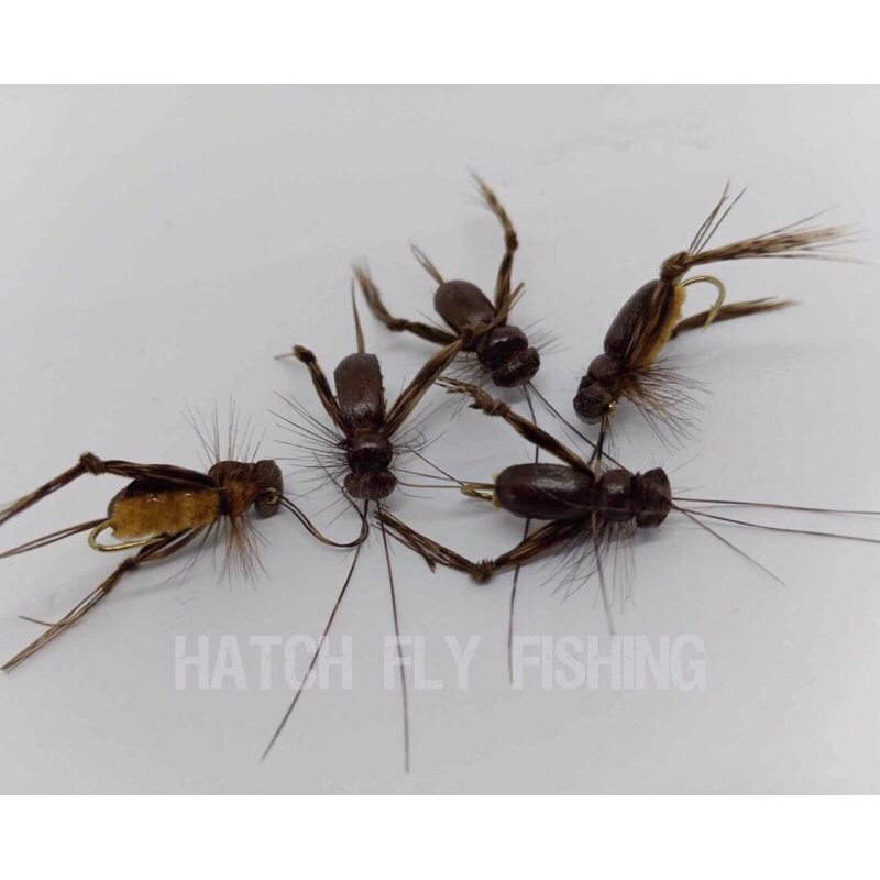 Fly lures ~ Foam back Cricket Fly (Floating) | Shopee Malaysia