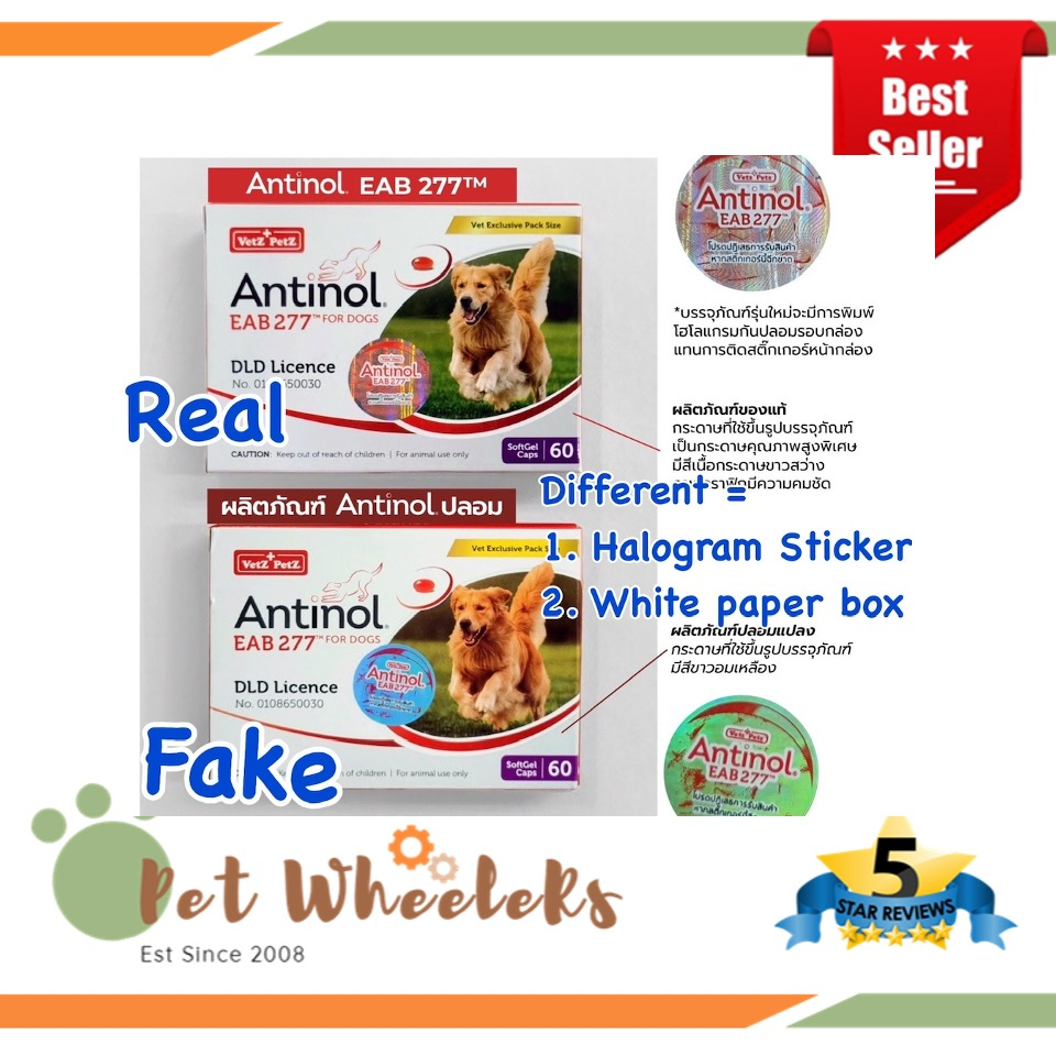 ANTINOL 100% Authentic Rapid Dog 60 Capsules Proven Joints Supplement ...