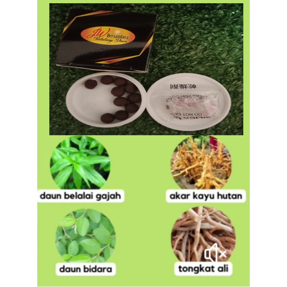 PLW Makjun Bersaudara pak long | Shopee Malaysia