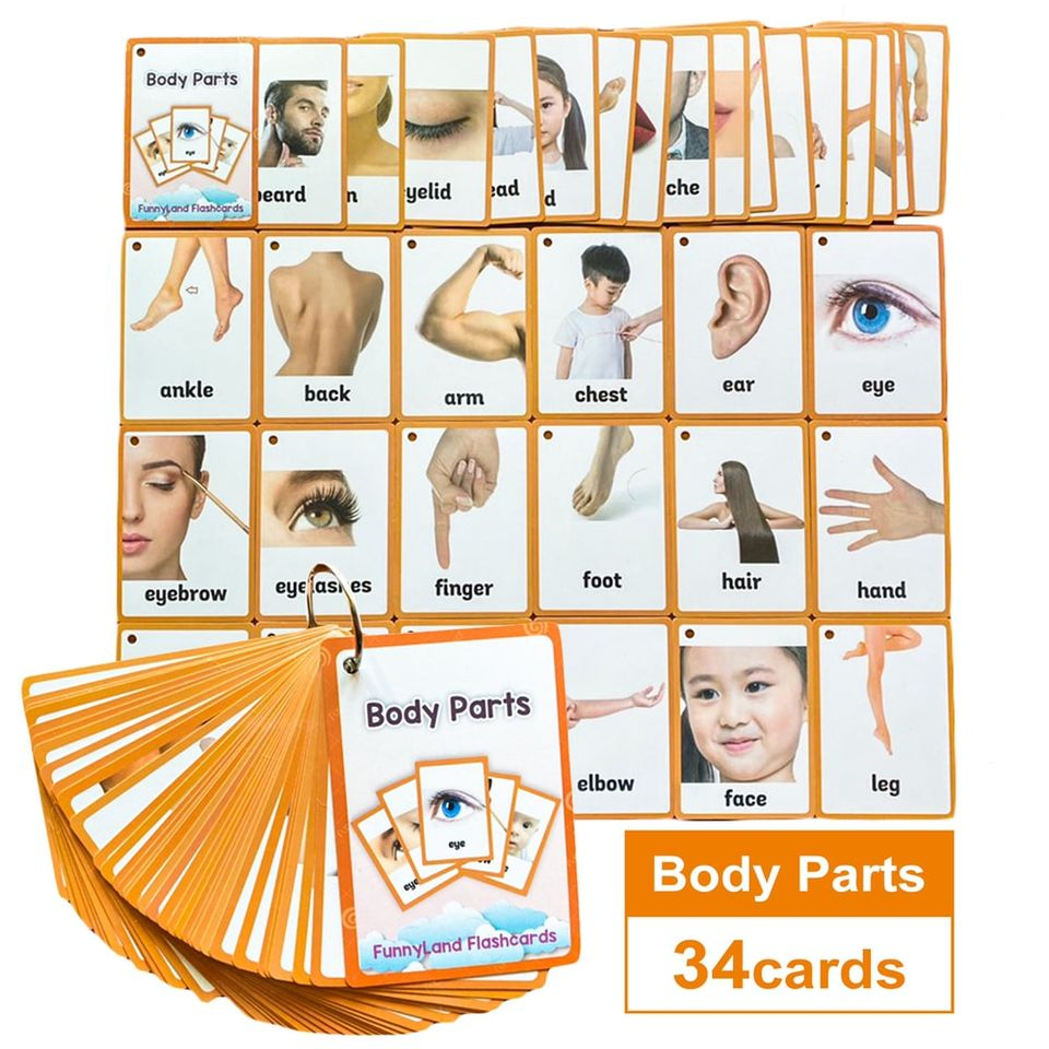 Body Parts Speech Therapy Cards Visual Behavior Cue Card Speech Delay ...