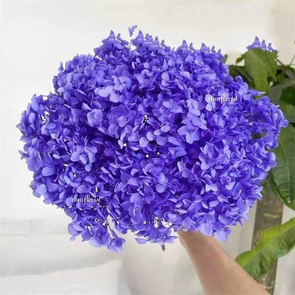 PRESERVED HYDRANGEA flower real natural DIY Surprise Gift decor Bunga ...
