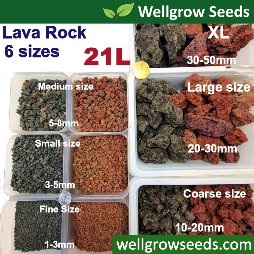 21L Lava Rock Aquarium (Red/black) 火山石(细) Pasir Malang Kaktus Cactus ...