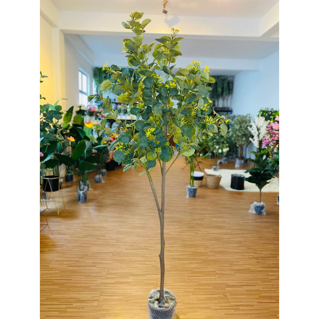 Artificial Eucalyptus Bunga Money Tree Plant Pokok Hiasan 180cm ...