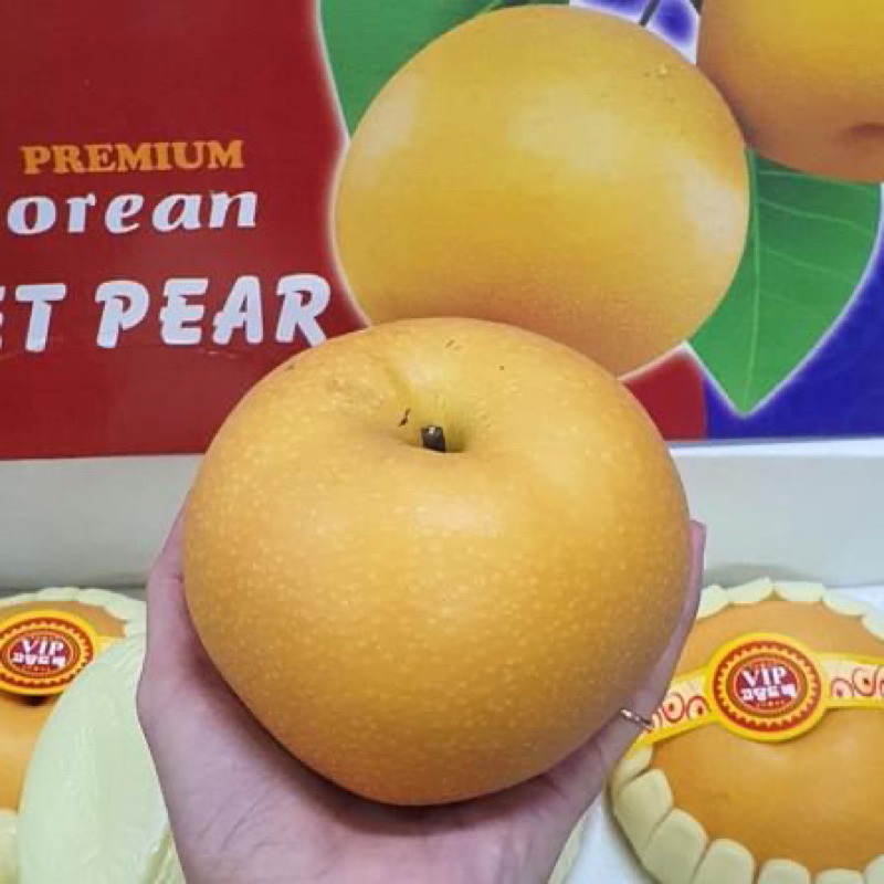 Korea Singor Pear *RM16/2PCS* | Shopee Malaysia