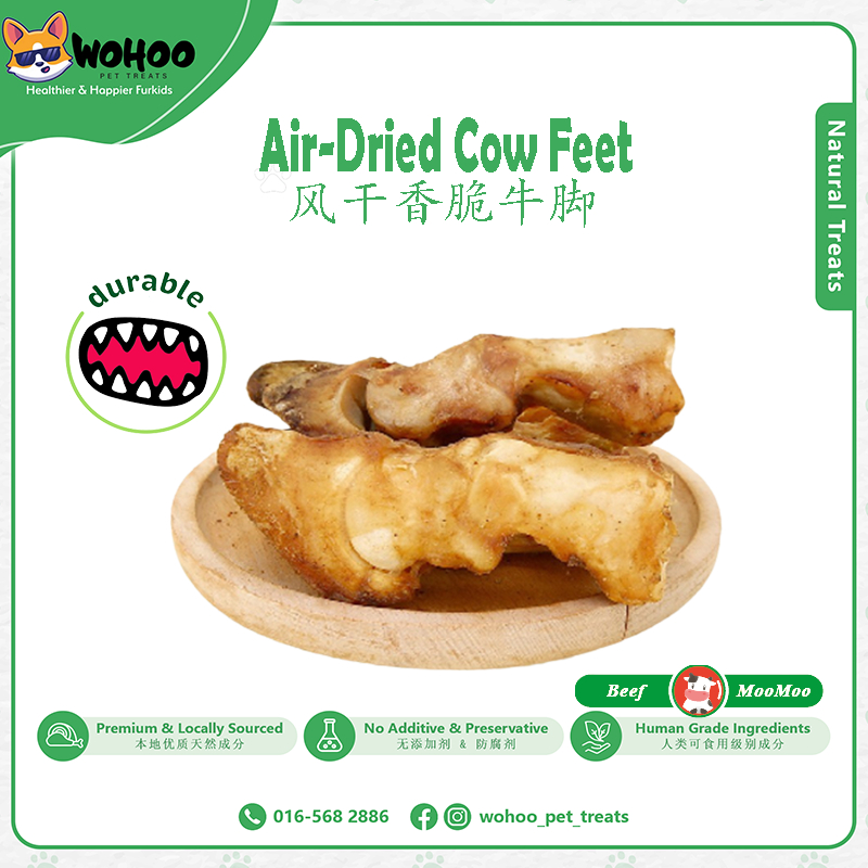 Air Dried Dehydrated Cow Feet Teeth Molar for Dog Pet Treats ...