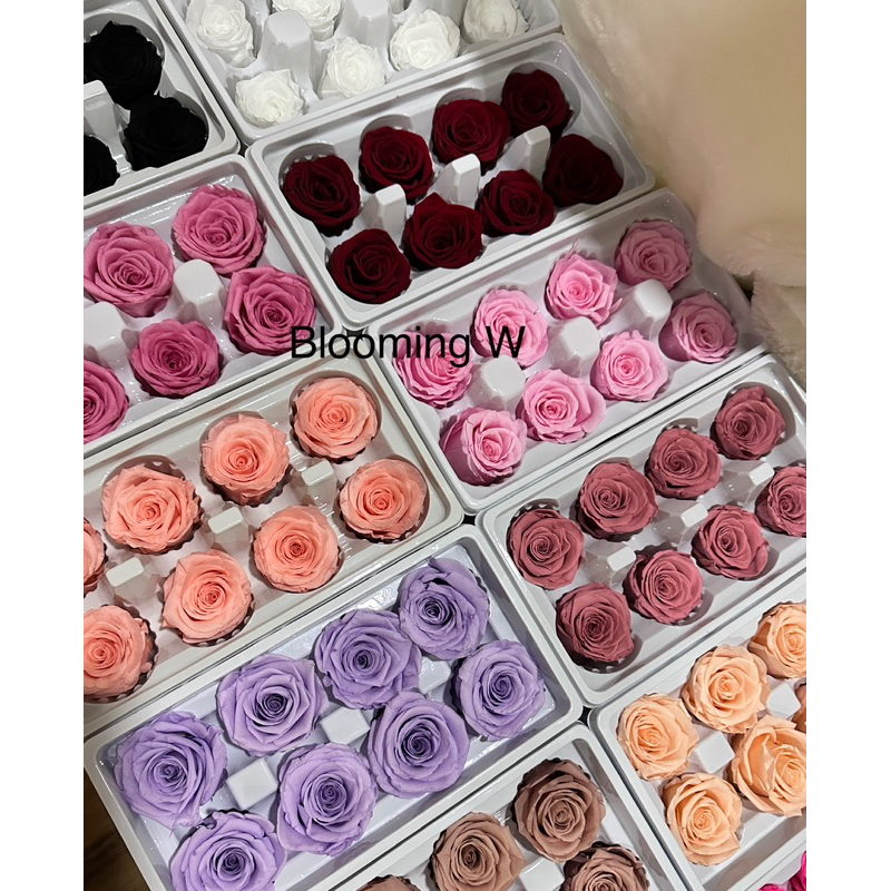 🌹Ready Stock Preserved Rose 永生玫瑰 Grade A 4-5cm - 8pcs | Shopee Malaysia