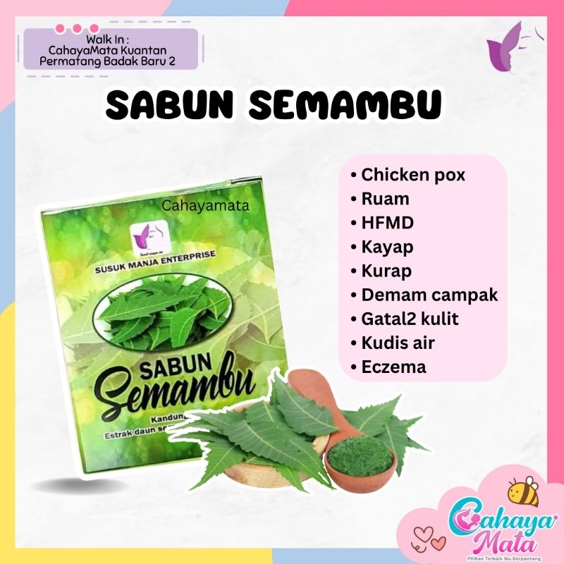 SUSUK MANJA Sabun Semambu Neem Soap | Hfmd | Chicken Pox | Campak ...
