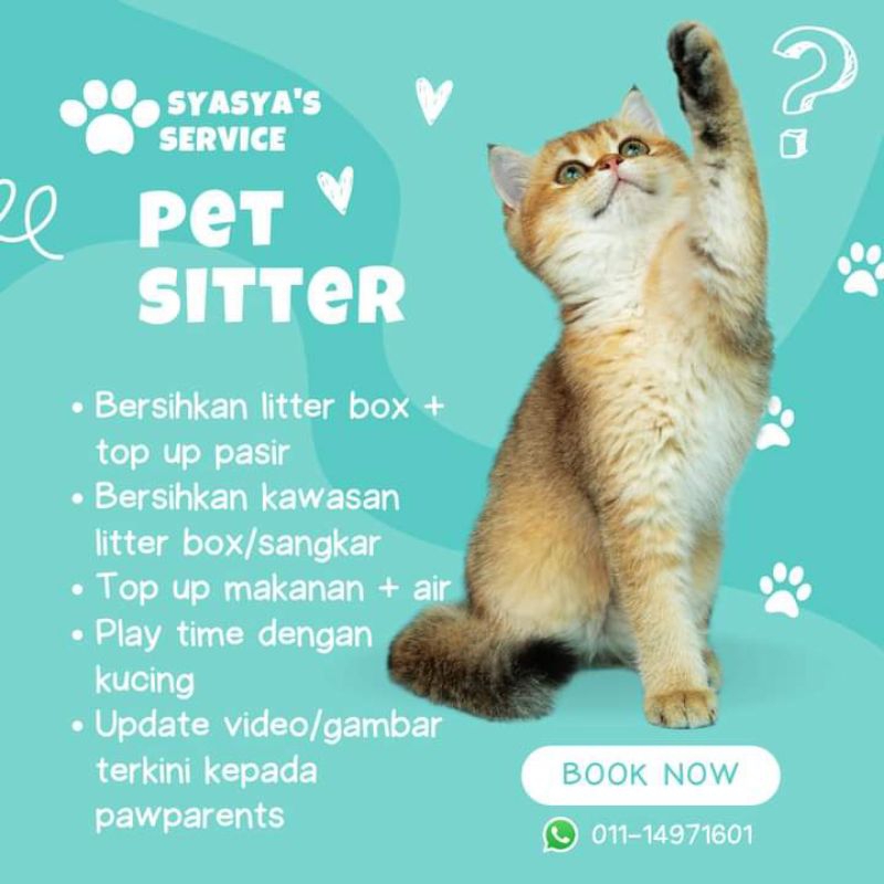 Servis Jaga Kucing (Pet Sitter) | Shopee Malaysia