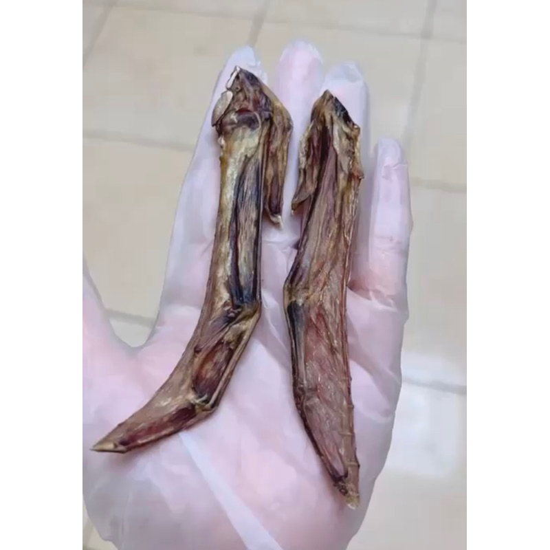 风干鸭翅尖Dehydrated Duck Wing Tips 【Buy 10 Free 1】｜Dog Snacks｜Pet Snacks ...