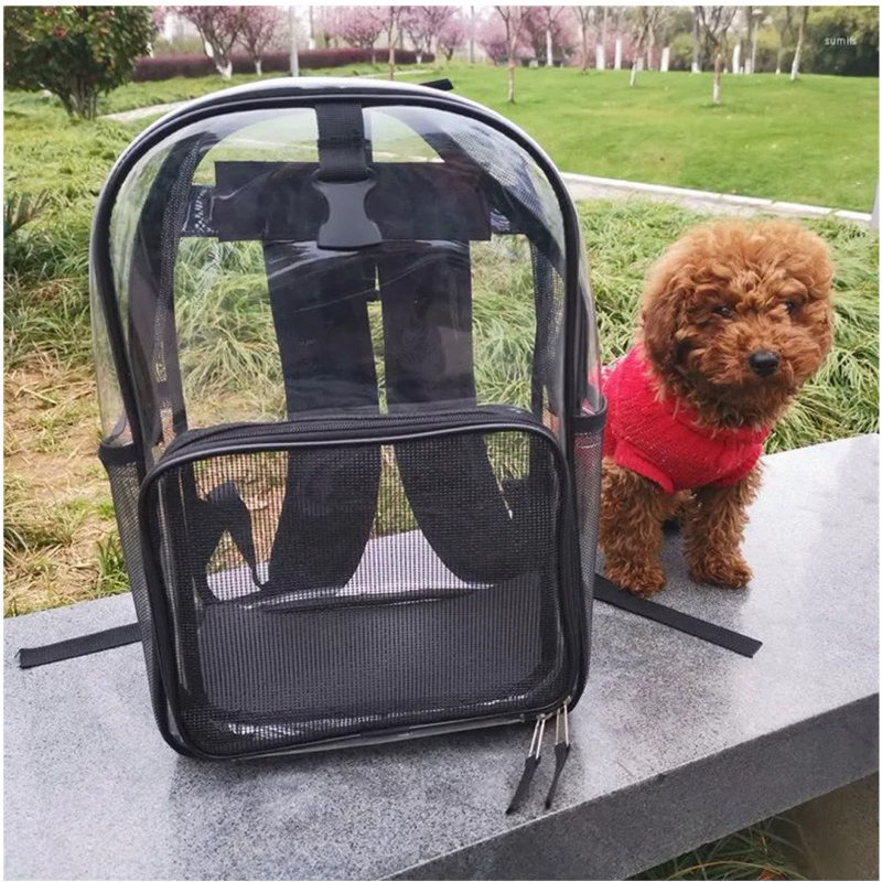 Transparent Pet Backpack Carrier, Cats & Small Dogs with Breathable ...