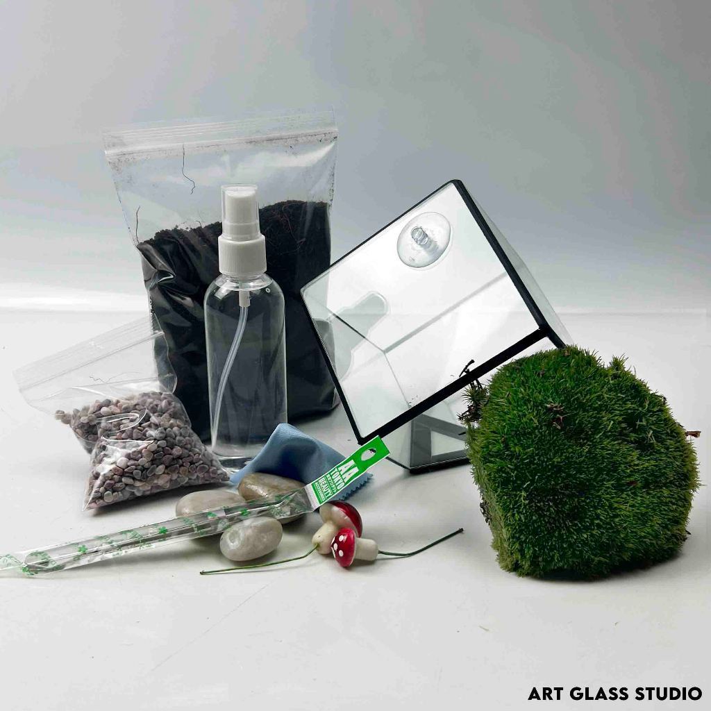 DIY Moss Terrarium Kit for beginners with VIDEO INSTRUCTIONS [ LIMITED ...
