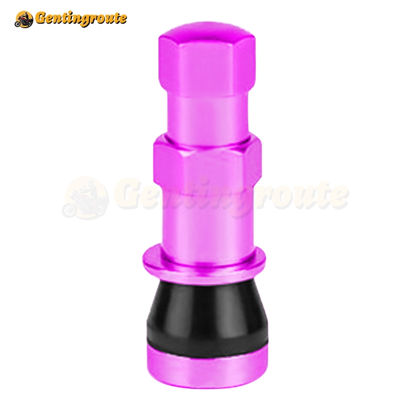 1 [Biji] Tubeless Valve Kepala Tubeless Air Valve Tayar Aluminum Alloy ...