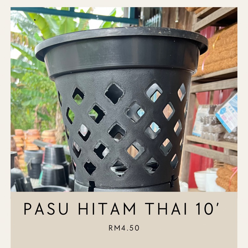 Pasu plastik hitam Thailand size 10 inch orkid tinggi | Shopee Malaysia
