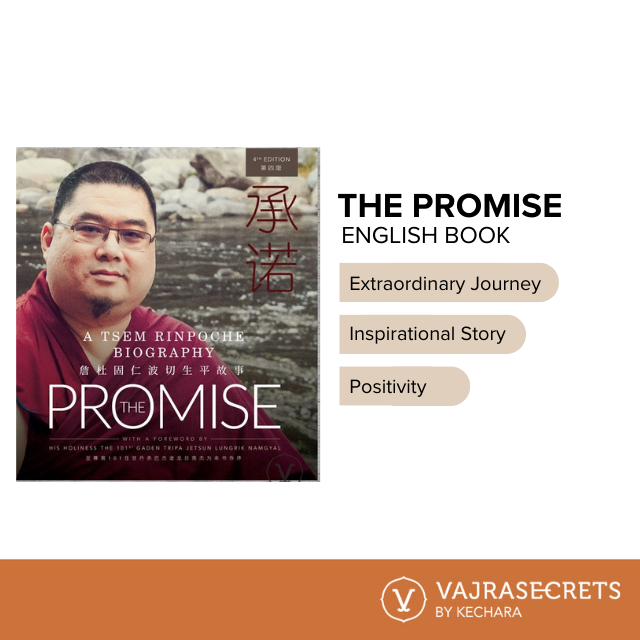 The Promise : A Tsem Rinpoche Biography Book (4th Edition) | Shopee ...