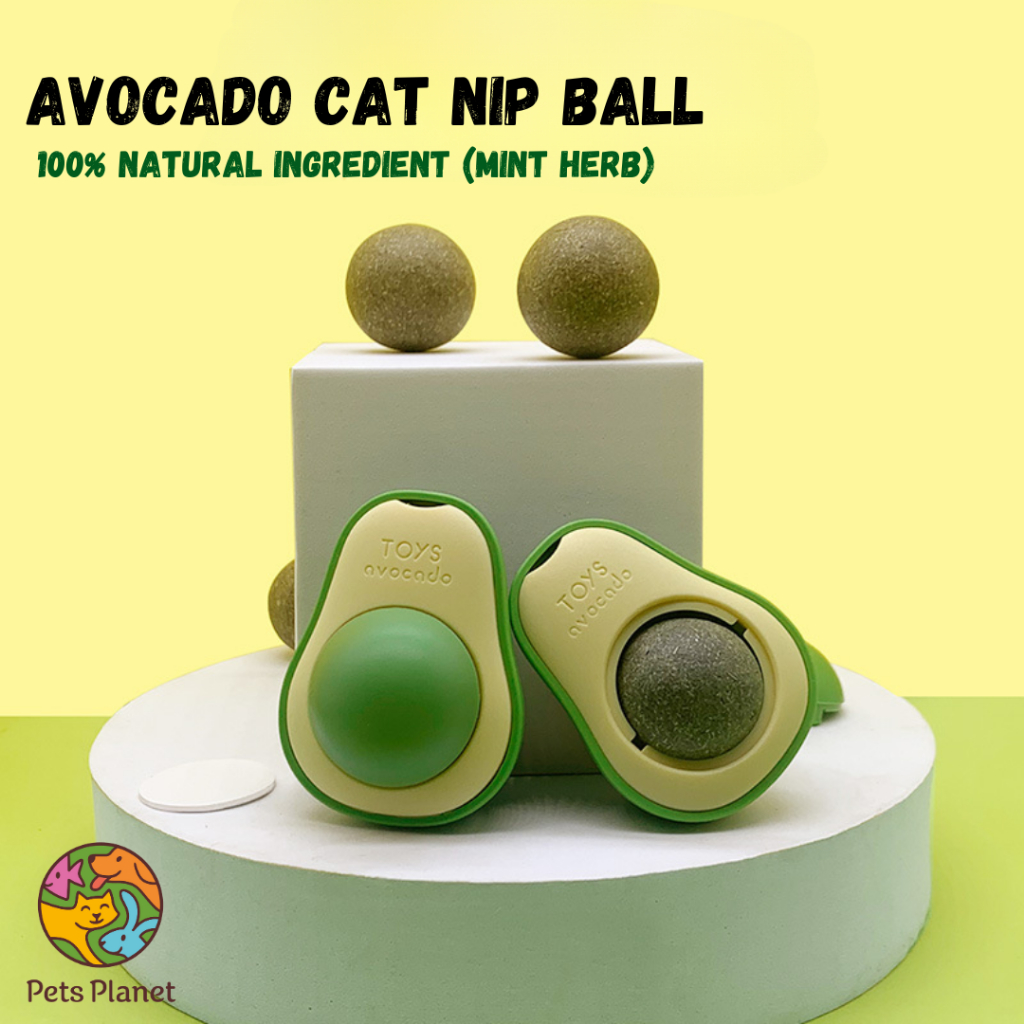 Avocado Catnip Ball | Cat Nip Ball | Cat Nip Mint | Catwort | Cat grass | Pudina Kucing | Herb ...