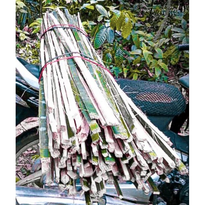 buluh wau bulan tradisional....buluh tebal | Shopee Malaysia