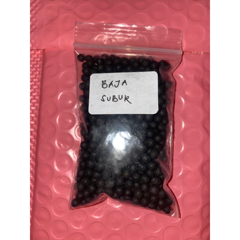 Heliconia ( Rhizome only ) untuk ditanam / bunga sepit udang ...