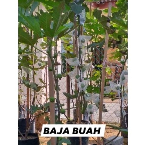 Baja AB khas Pokok TIN/ANGGUR.Megasale 9.9.Baja AB SUBUR DAN BUAH.3.2KG ...
