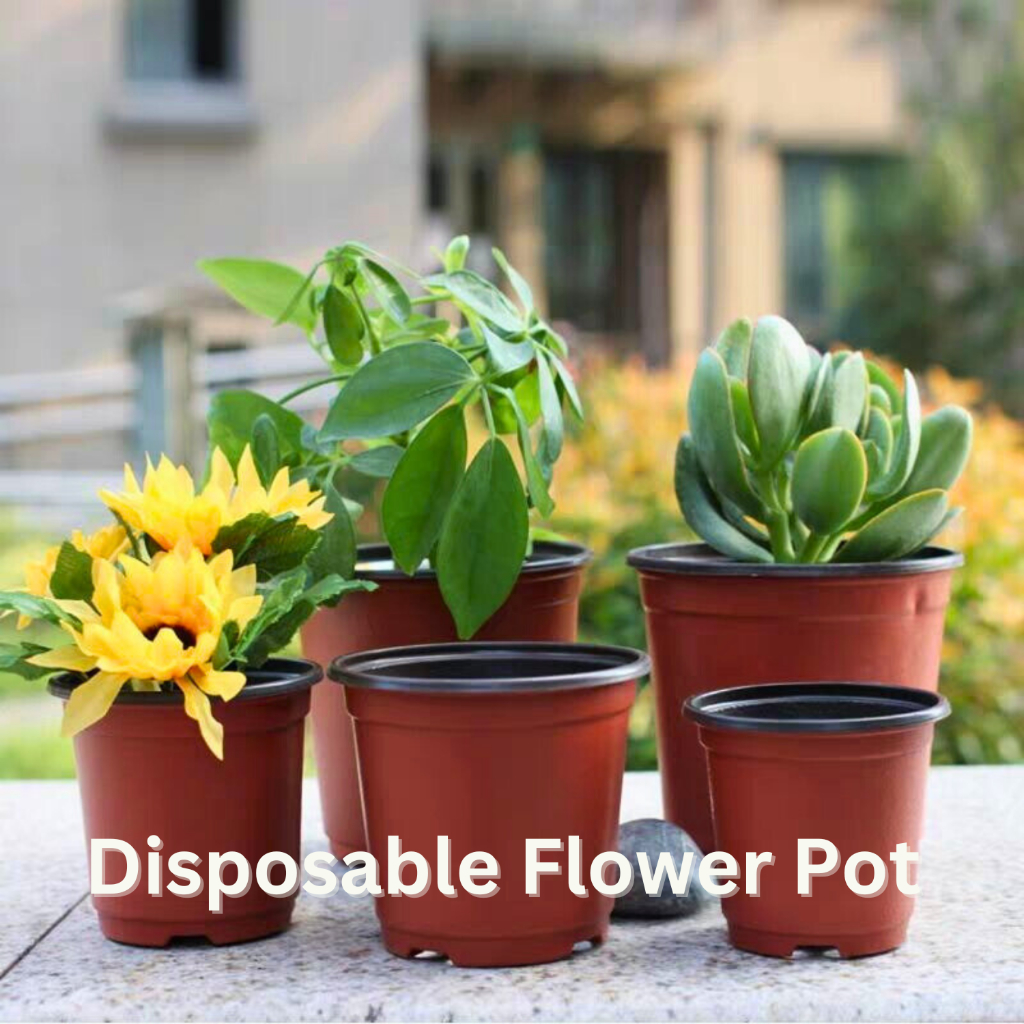 Disposable Ultra Thin Flower Pot Plant Nursery Pots Plastic Pots for ...