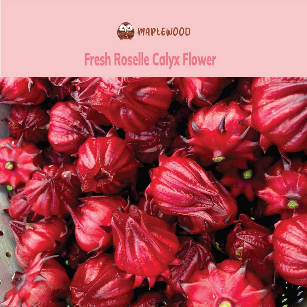 💥PROMOTION💥500G / 1KG Fresh Roselle Calyx Flower Grade A Natural ...