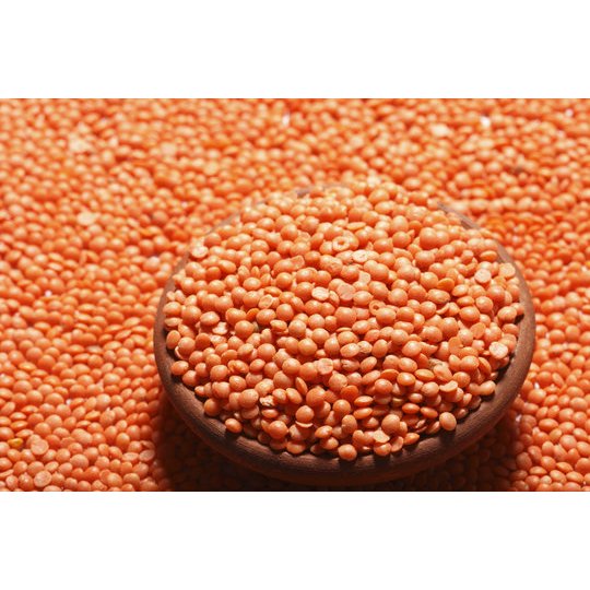 DAAL MASOOR (Dal Merah) 500G | Shopee Malaysia