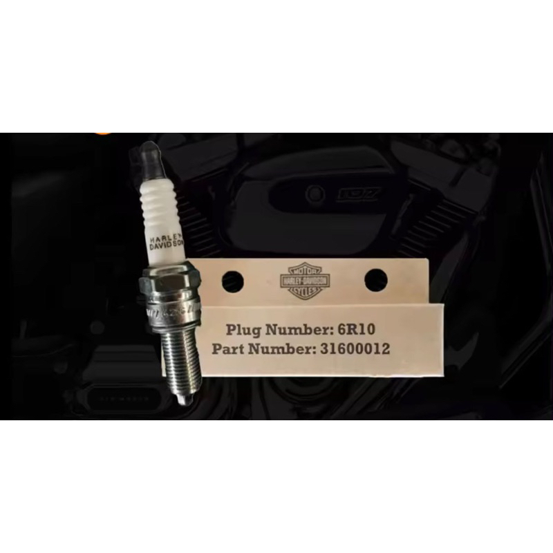 HARLEY DAVIDSON SPARK PLUG 6R10 (for M8 engine) | Shopee Malaysia
