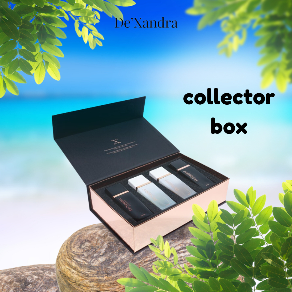 [Kotak Sahaja] Exclusive Collector Box Premium Sesuai Untuk Gift atau ...