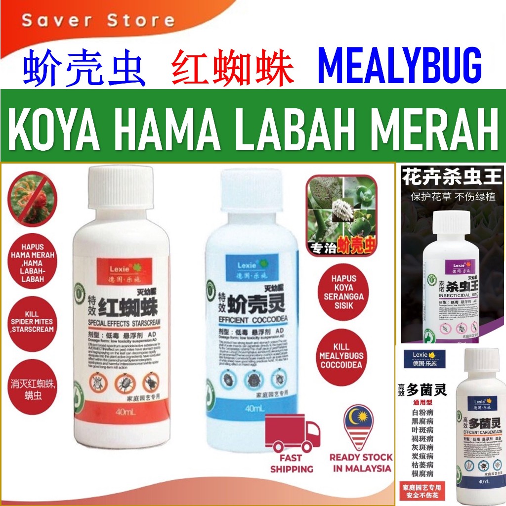 Saverstore Hapus Koya Serangga Sisik Hapus Hama Merah Labah蚧壳灵红蜘蛛螨虫杀虫剂 ...