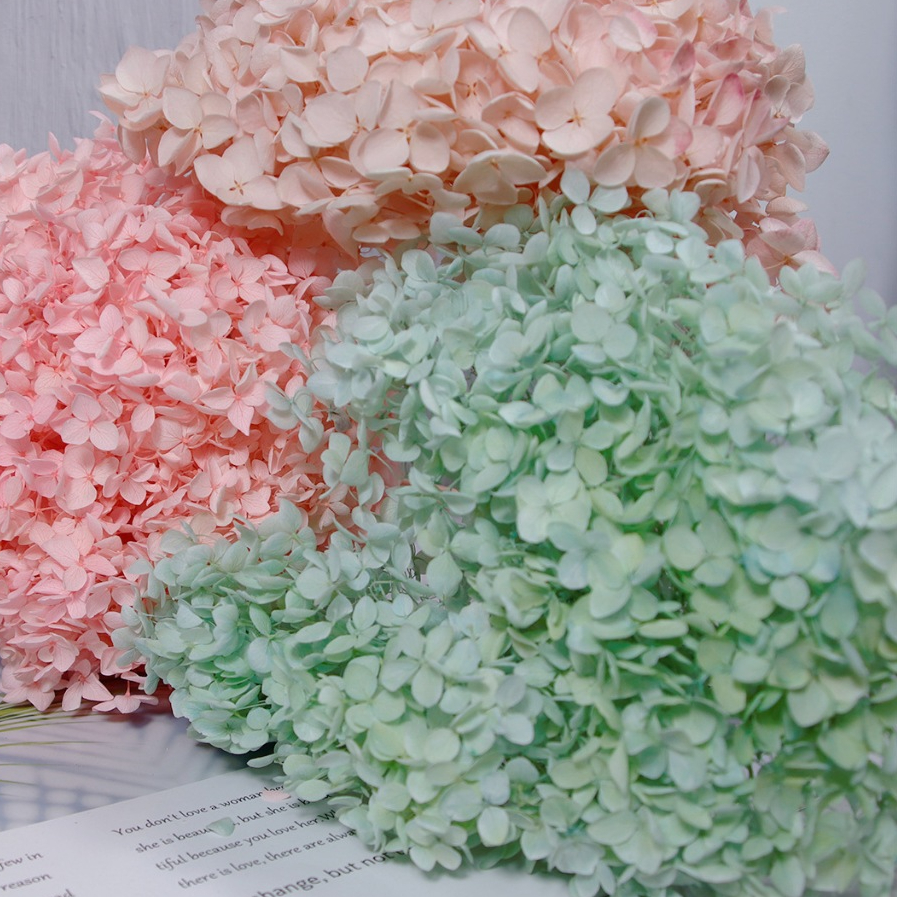 ROMANCE PRESERVED HYDRANGEA flower real natural florist DIY Surprise ...