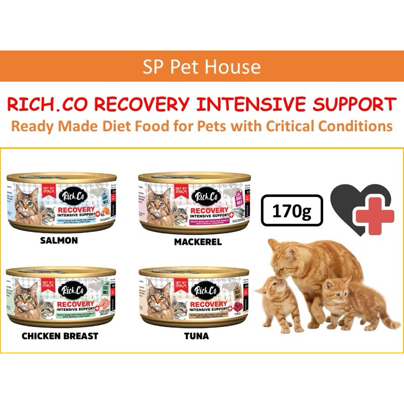 Rich.Co Recovery Intensive Support Cat Can Food with Goat Milk 170g ...