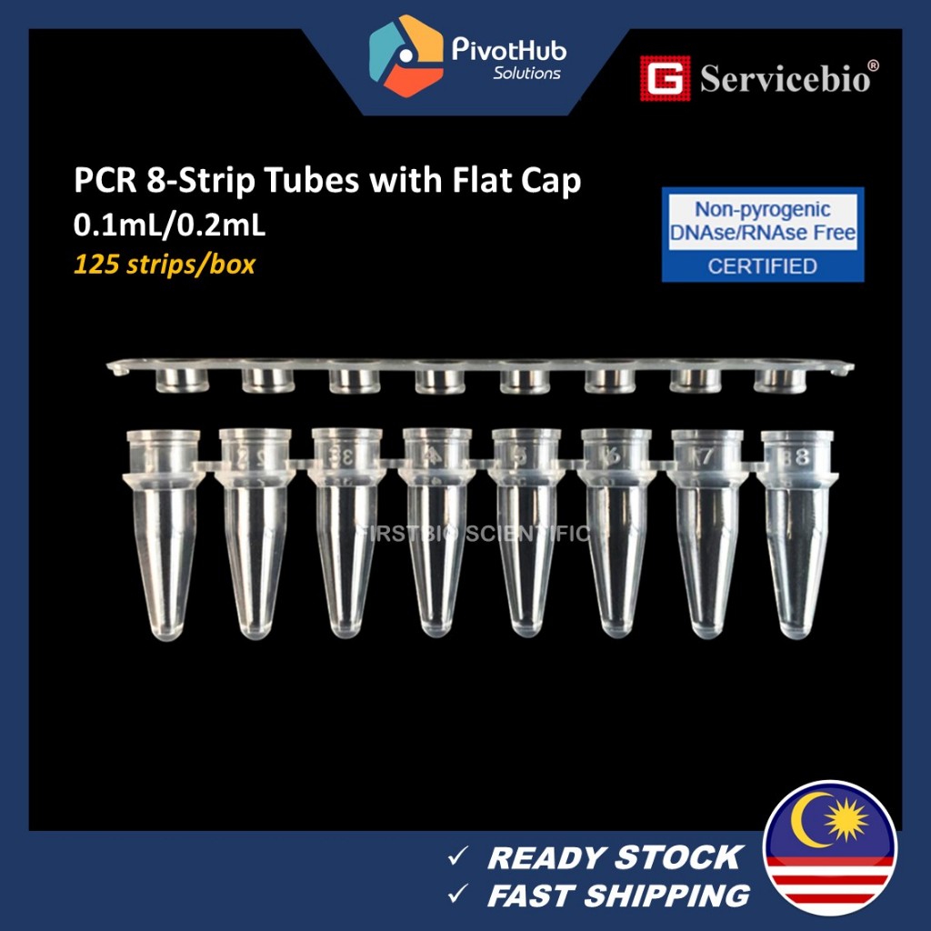 SERVICEBIO PCR 8-Strip Tubes with Clear Flat Caps Clear White 0.1ml and ...