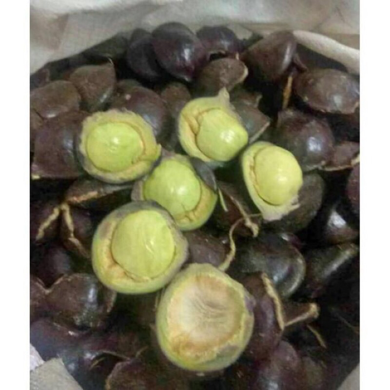 1kg JERING MUDA JERING tua sedap ulam nasi panas-panas | Shopee Malaysia
